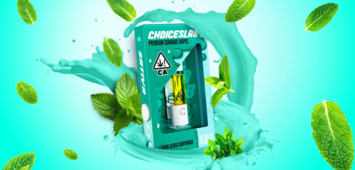 Home - Choices Lab Disposable